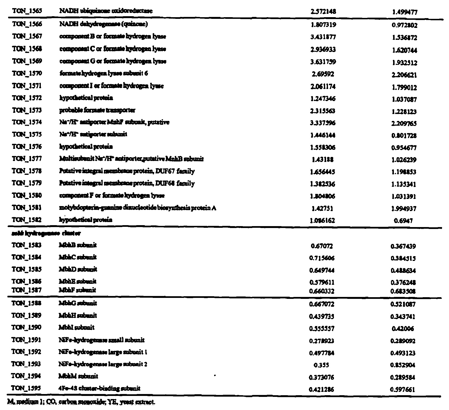 KR20110069744A - Thermococcus spp.로부터 분리된 신규한 수소화효소, 이를 암호화하는 유전자 및 그 ...
