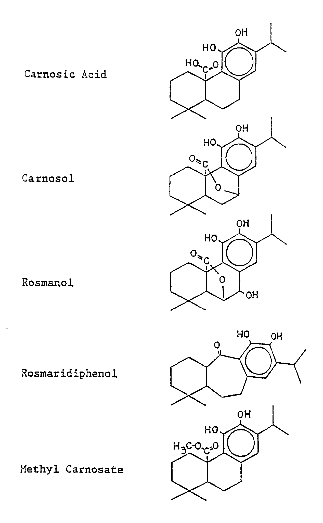 EP0454097A1 - Labiatae derived antioxidant composition - Google Patents