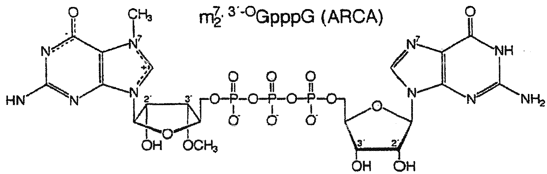 WO2017162266A1 - Rna replicon for versatile and efficient gene ...