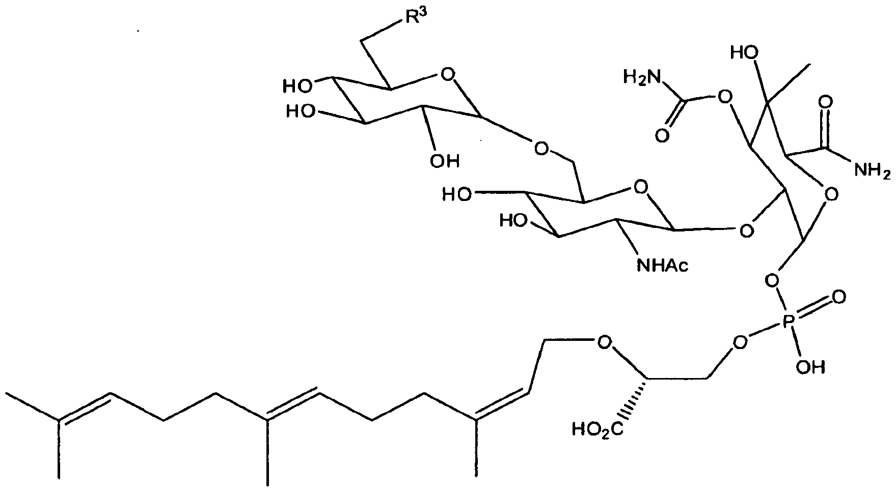 WO2008021367A2 - Moenomycin biosynthesis-related compositions and ...