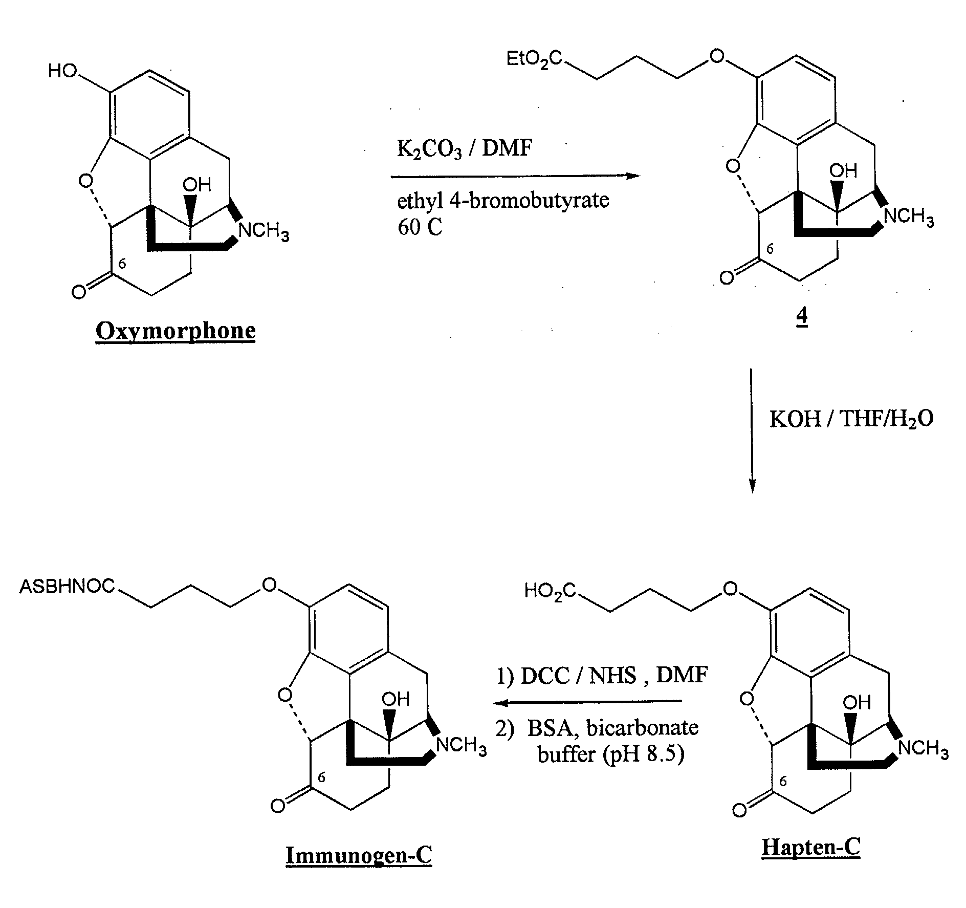 EP1323718A2 - Haptens, immunogens and antibodies to oxycodone and its ...