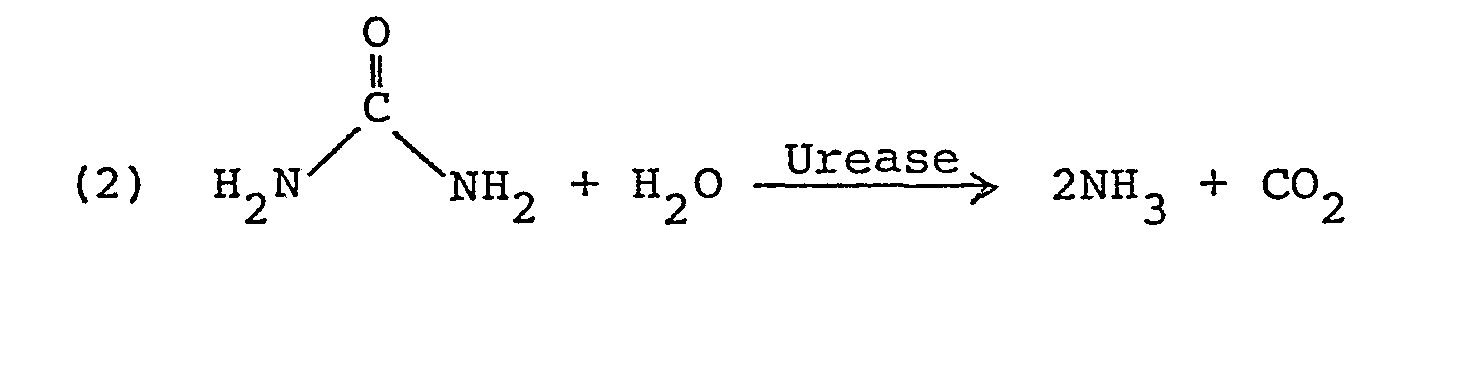 EP0054096A1 - Method of forming stabilized urease solutions - Google ...