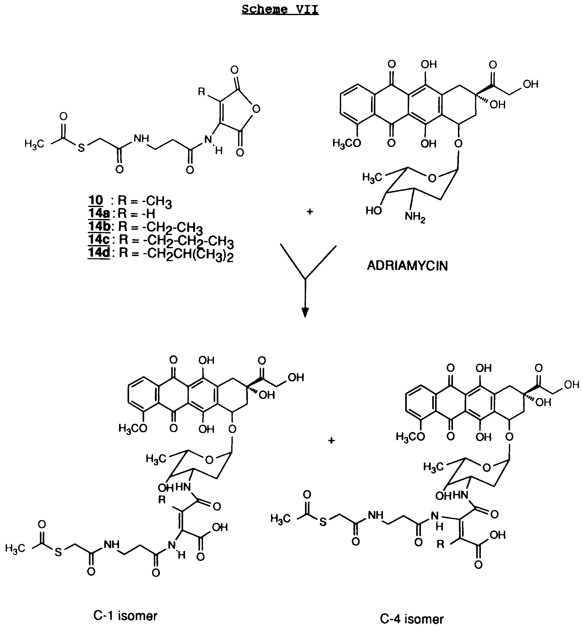 EP0495265A1 - Acid-labile linker molecules - Google Patents