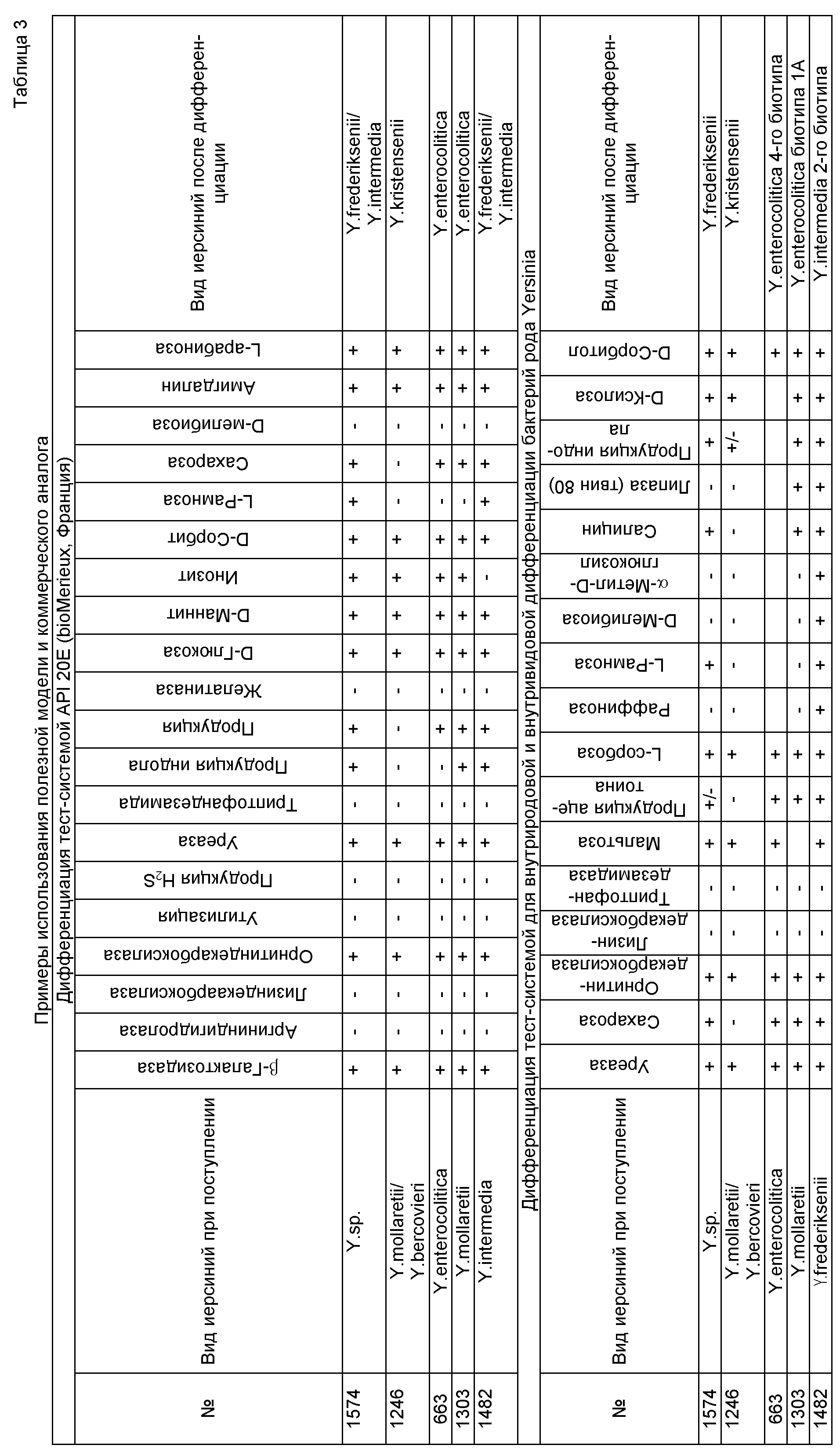 RU2518297C2 - TEST-SYSTEM FOR DIFFERENTIATING SPECIES AND BIOTYPES OF ...