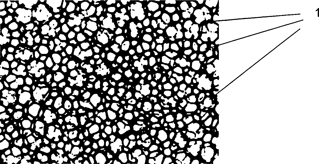 DE102008054596B4 - Open-cell ceramic and / or metal foam bodies with a ...