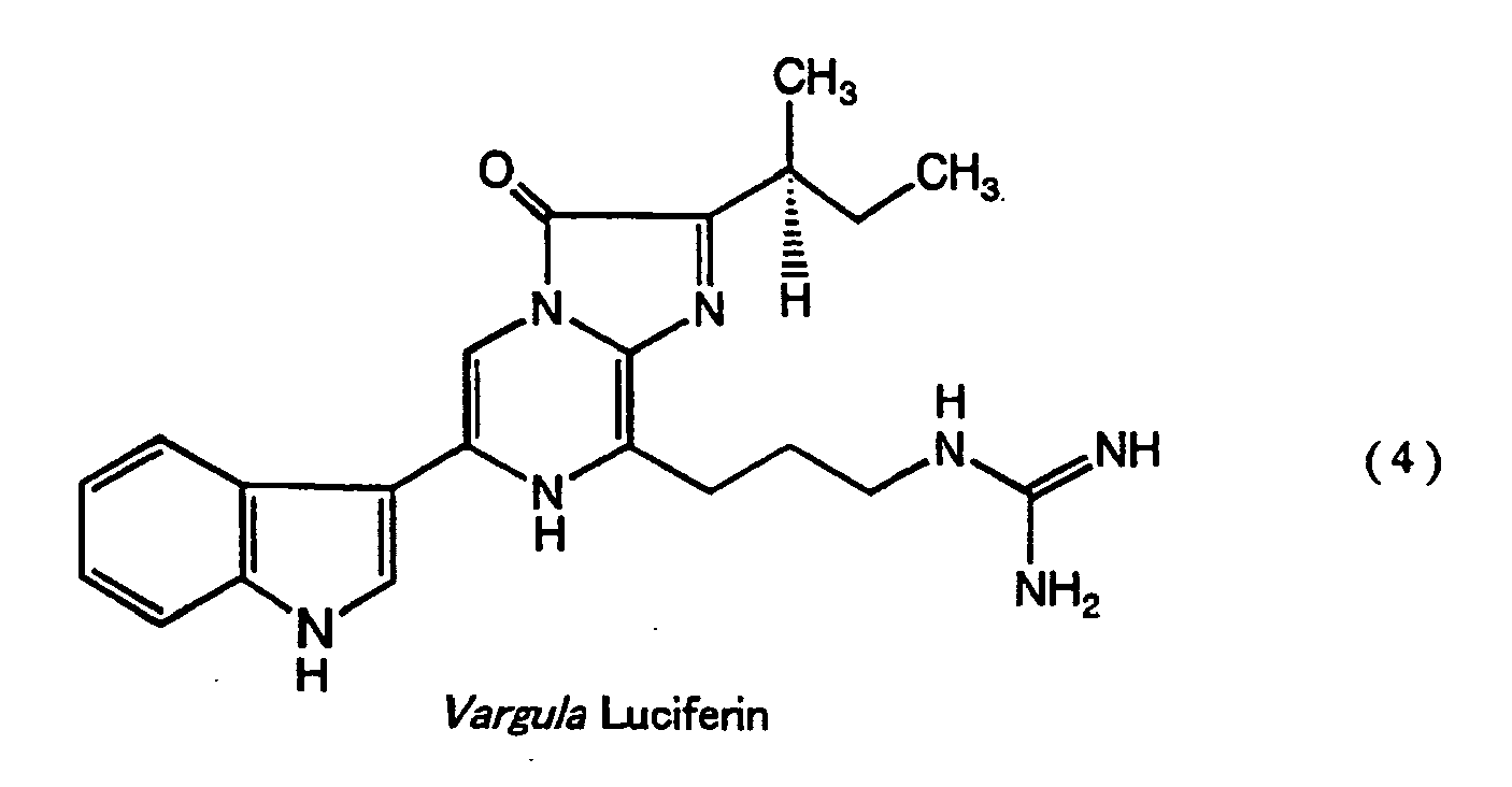 EP1156103B1 - Oplophorus luciferase - Google Patents