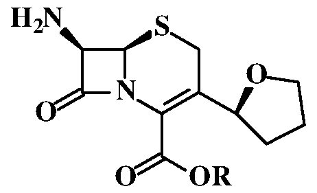 WO2018229580A1 - An improved process for the preparation of cefovecin ...