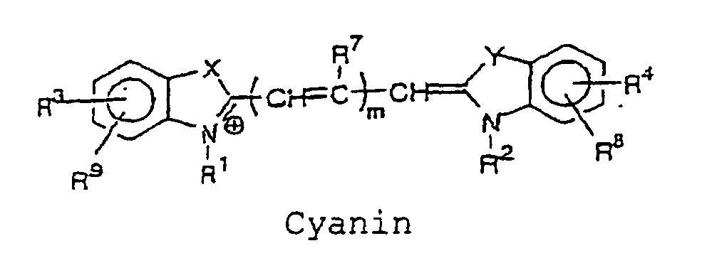 EP1152008B1 - Fluoreszente Nucleotide, enthaltend einen Cyanin ...