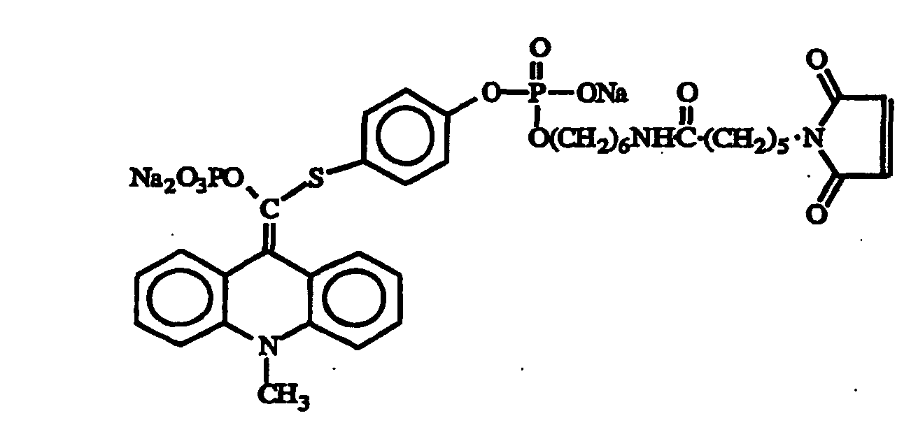 EP1322670B1 - Electrochemiluminescence from acridan compounds - Google ...