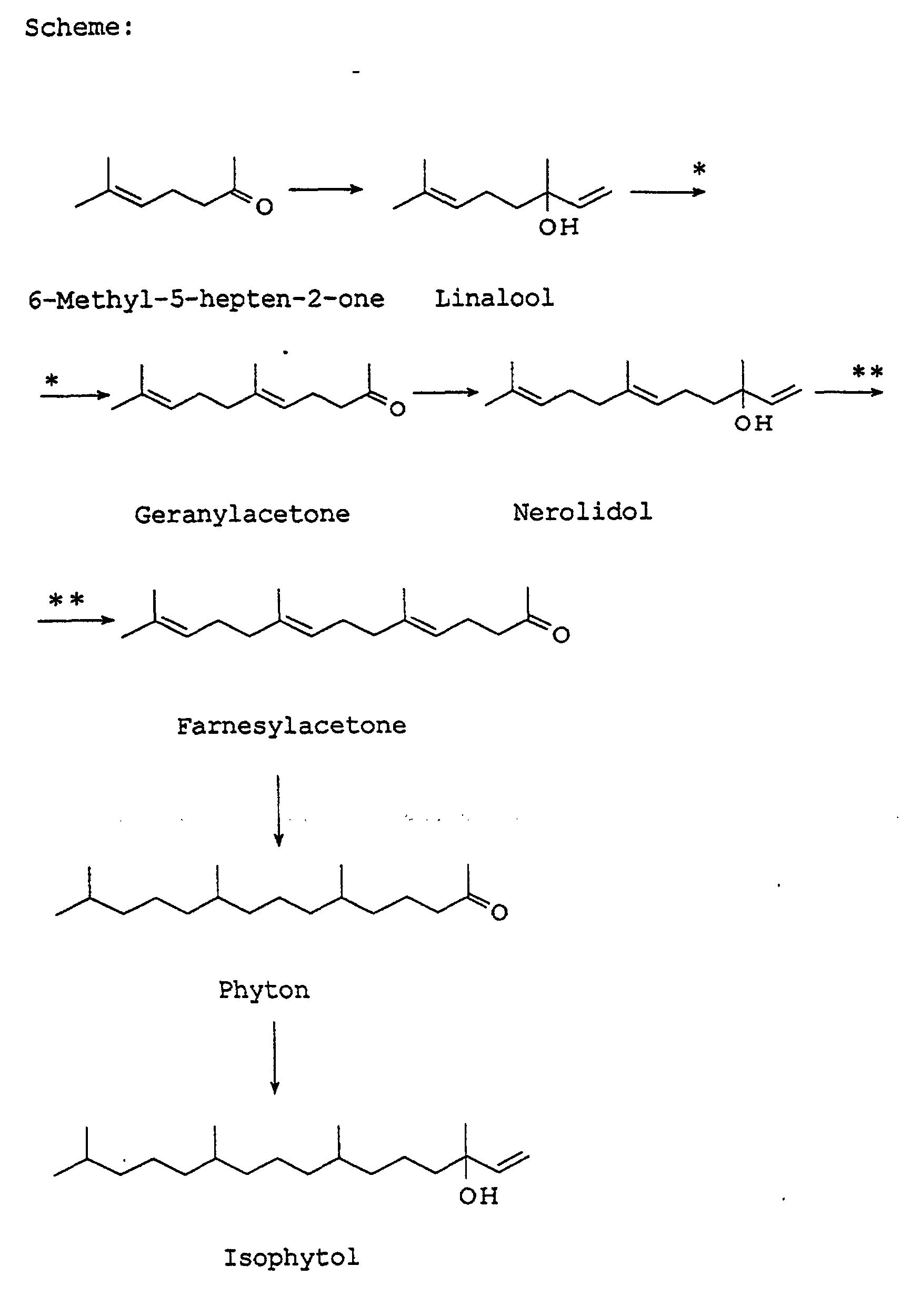 EP0816321B1 - Process for producing 6-methyl-2-heptanone analogues, and ...