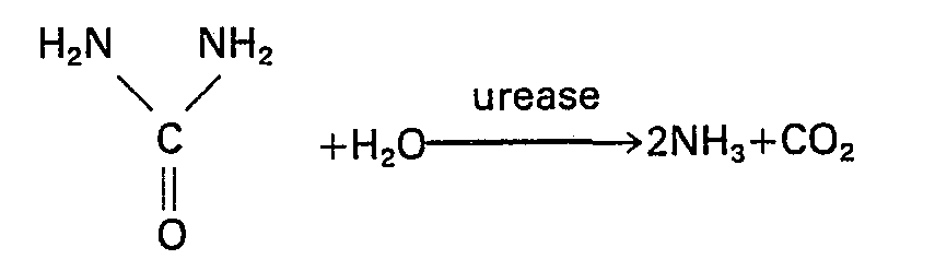 EP0133681B1 - Enzymatic urea assay - Google Patents