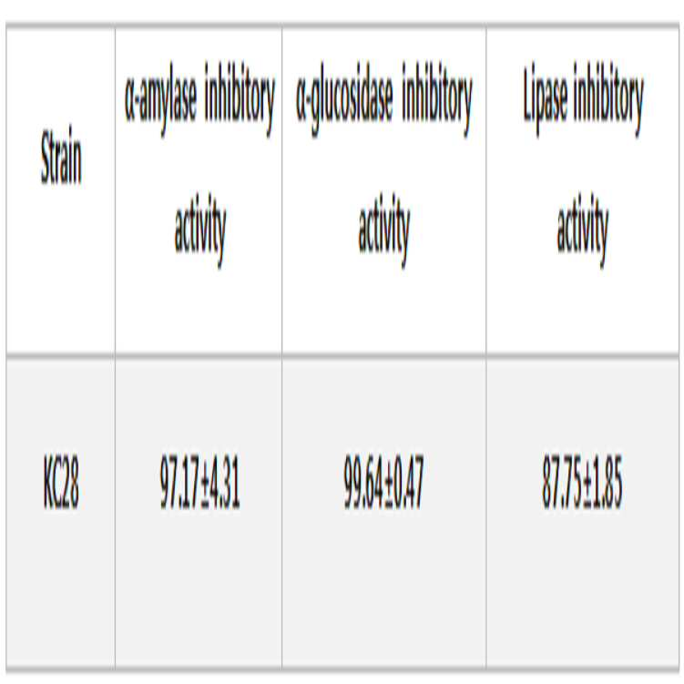 KR20190077714A - 항비만 효과를 갖는 락토바실러스 플란타룸 kc28 균주 및 이의 용도 - Google Patents