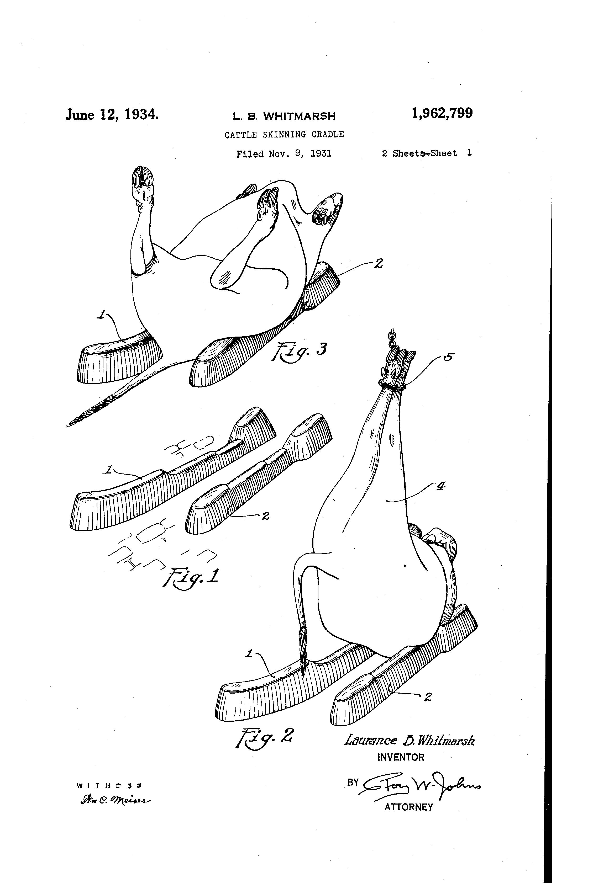 How To Skin A Cow S Head at Jasmine Leschen blog