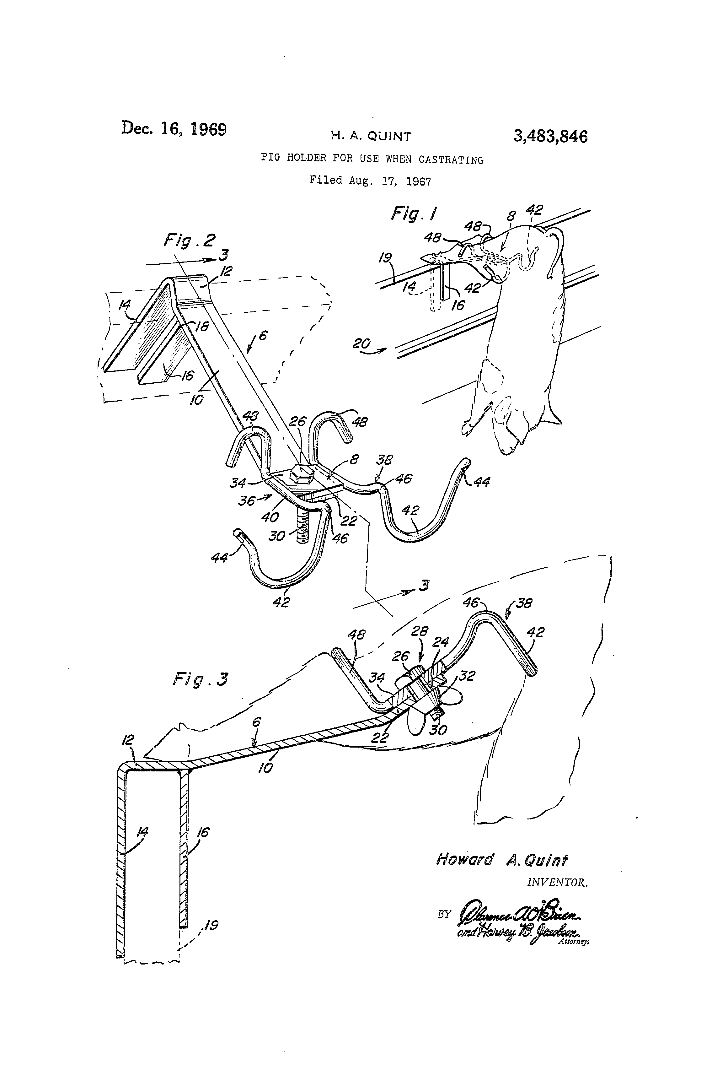 Pig Patents Drawing Sketch Coloring Page