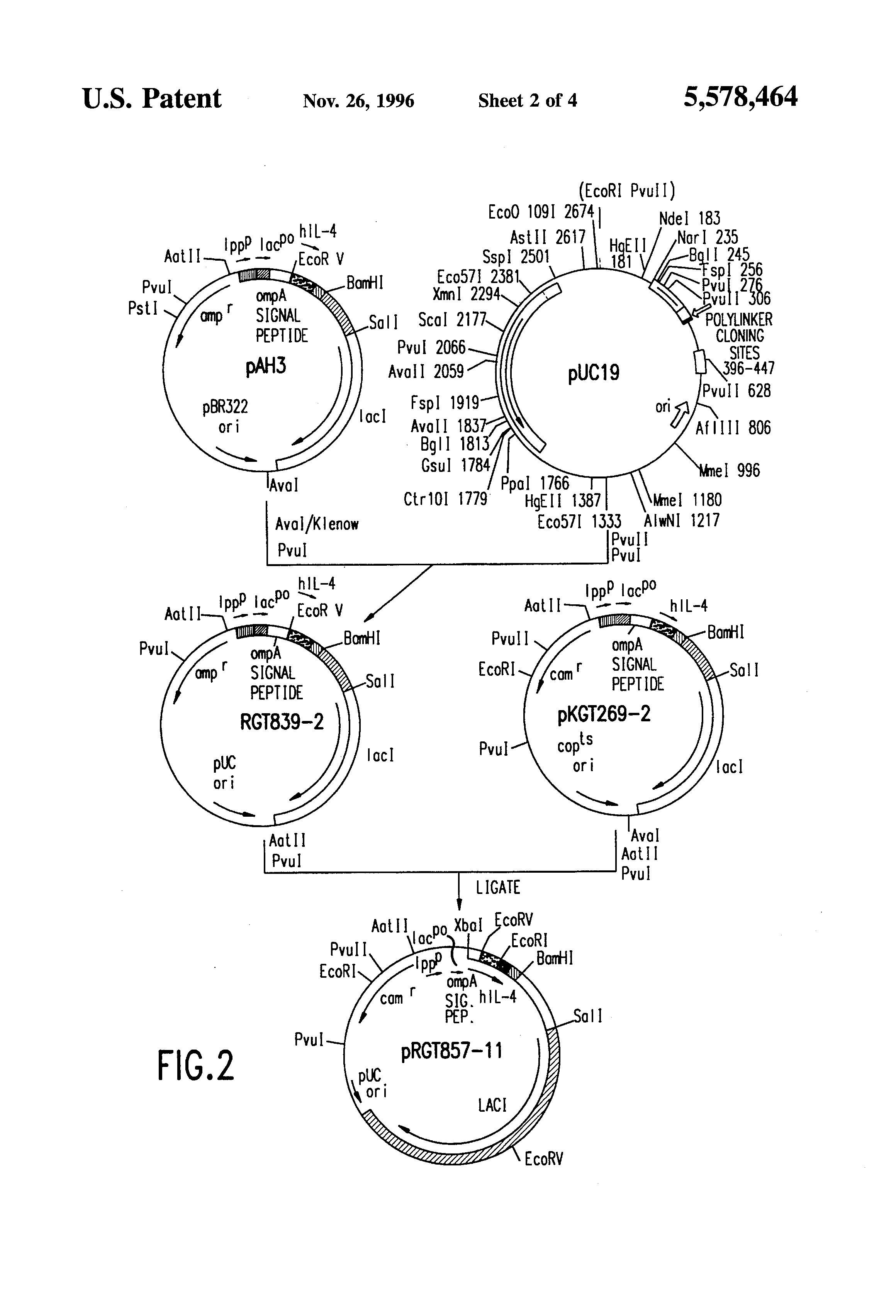 Onesimus Philemon Sketch Coloring Page